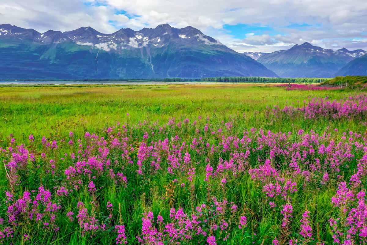 Five Signs of Spring in Valdez