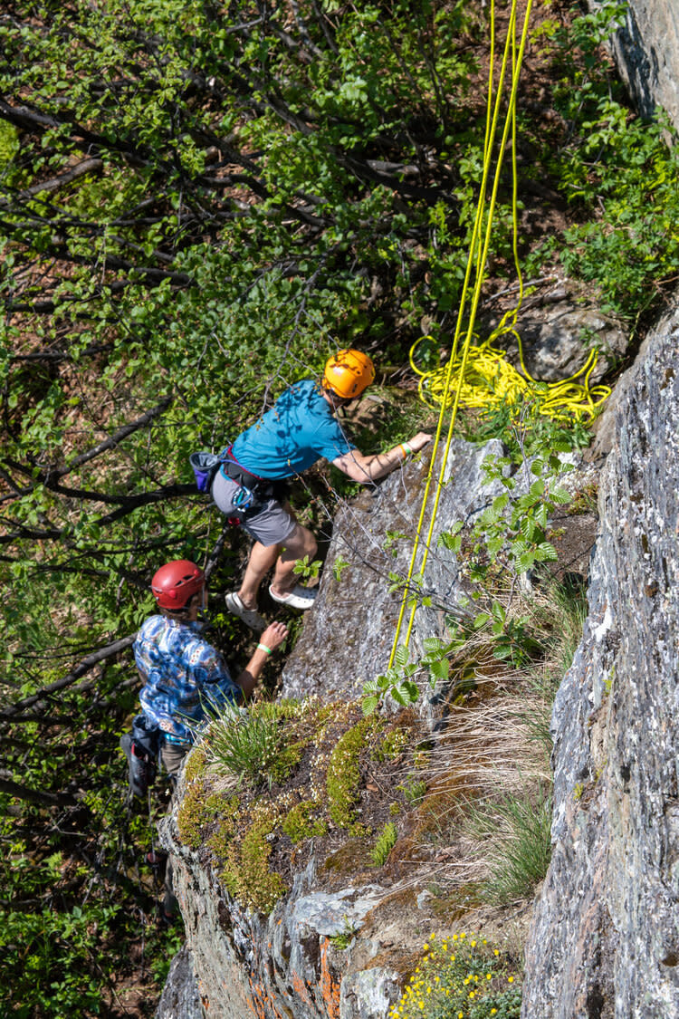 Berry Trail | Discover Valdez