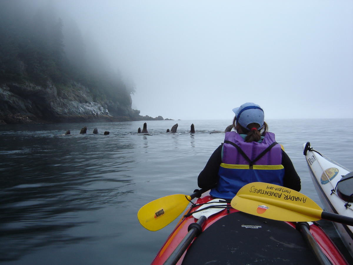 Things To Do | Discover Valdez