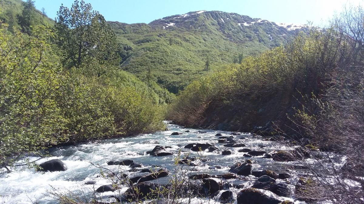 Mount Shasta | Discover Valdez