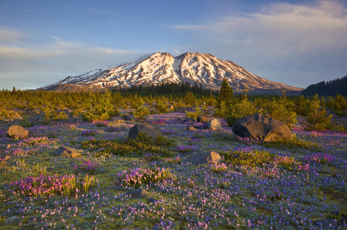 Mountains Near Vancouver, WA | Mount Jefferson & Rainier