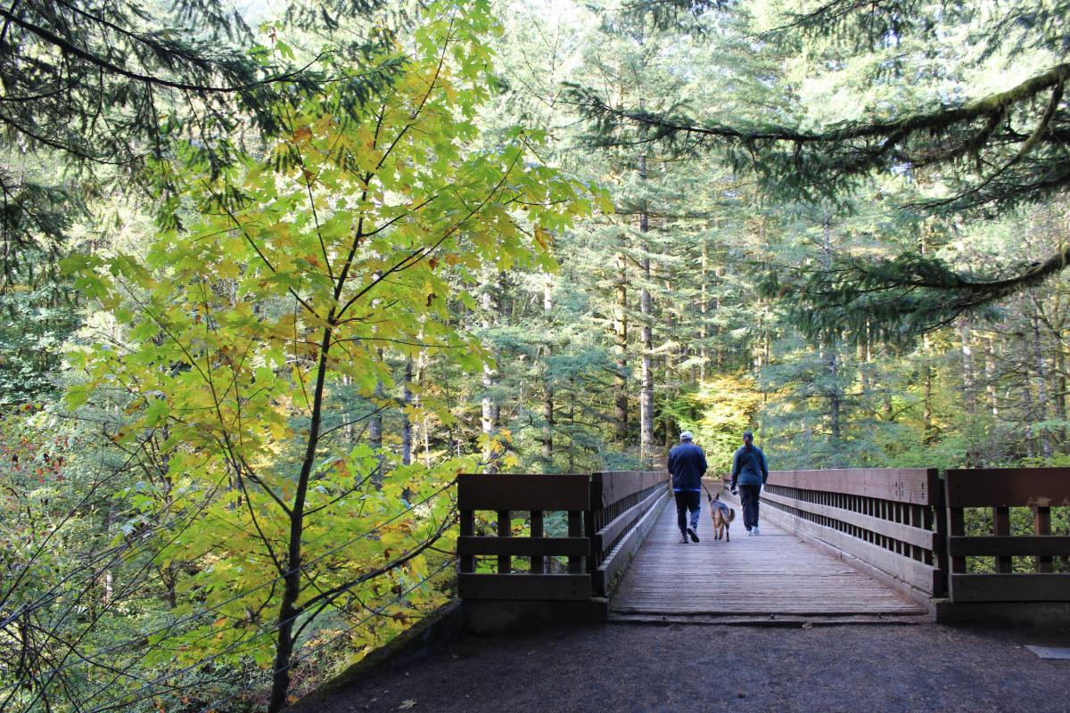 Visit Vancouver WA Blog | Insider Stories and Must-Do Activities