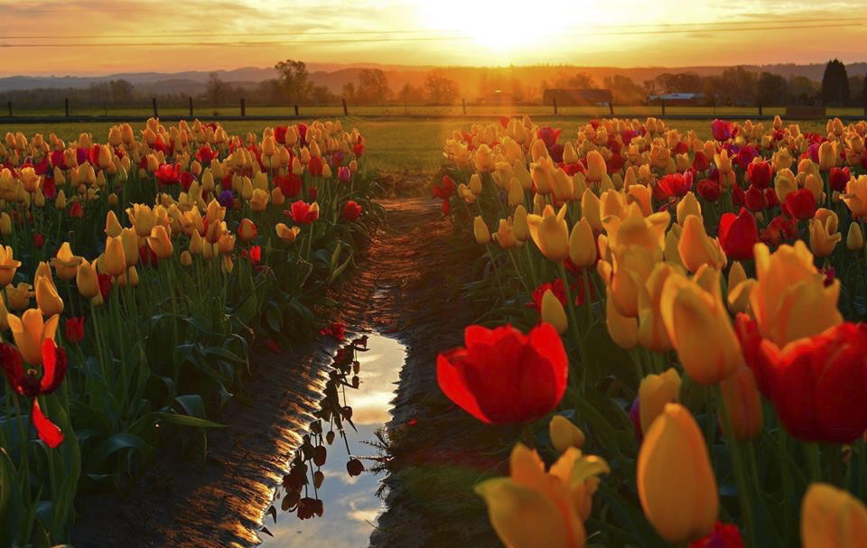 Spring Events in Vancouver | Recycled Arts Festival