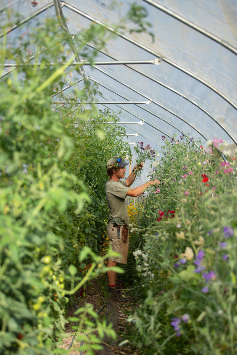 Agritourism in Vermont: Connecting Communities, Farms, and Authentic ...