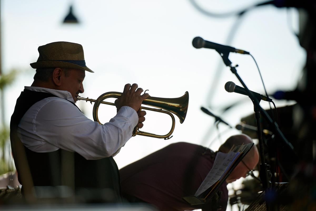 NEW FACE OF THE FLYNN