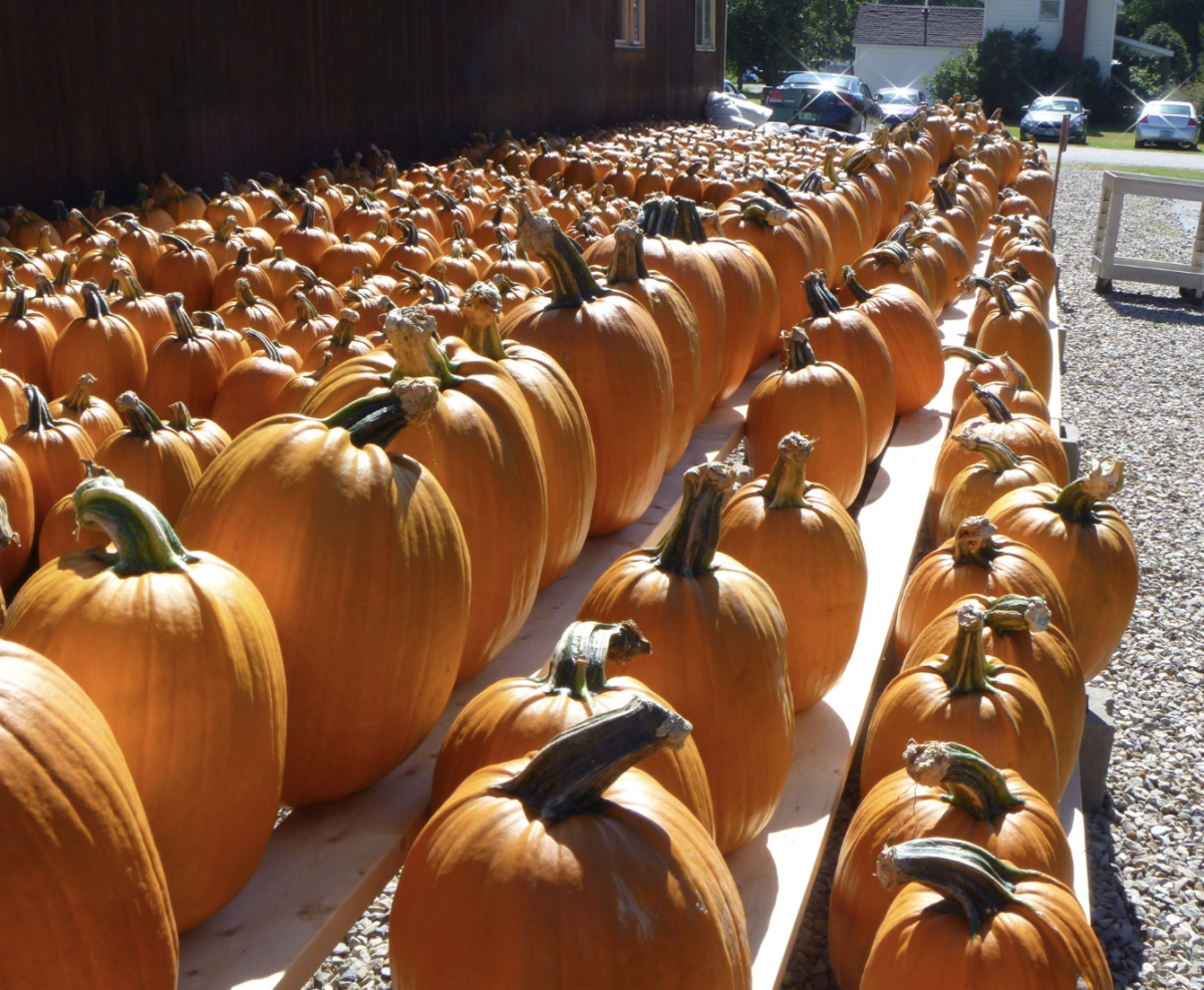 Halloween in Burlington VT 2025 | Events, Haunted Fun 🎃