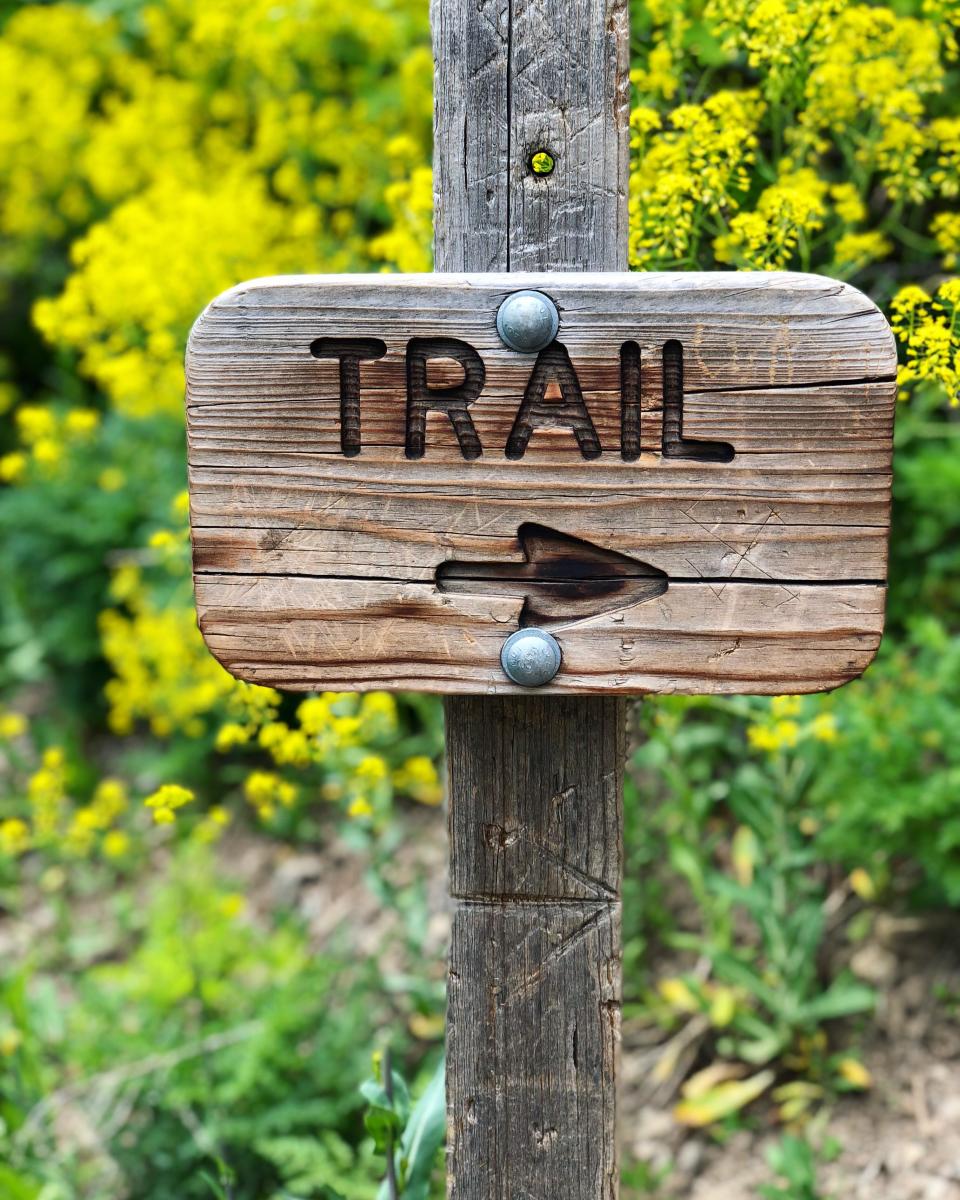 Local Parks & Trails