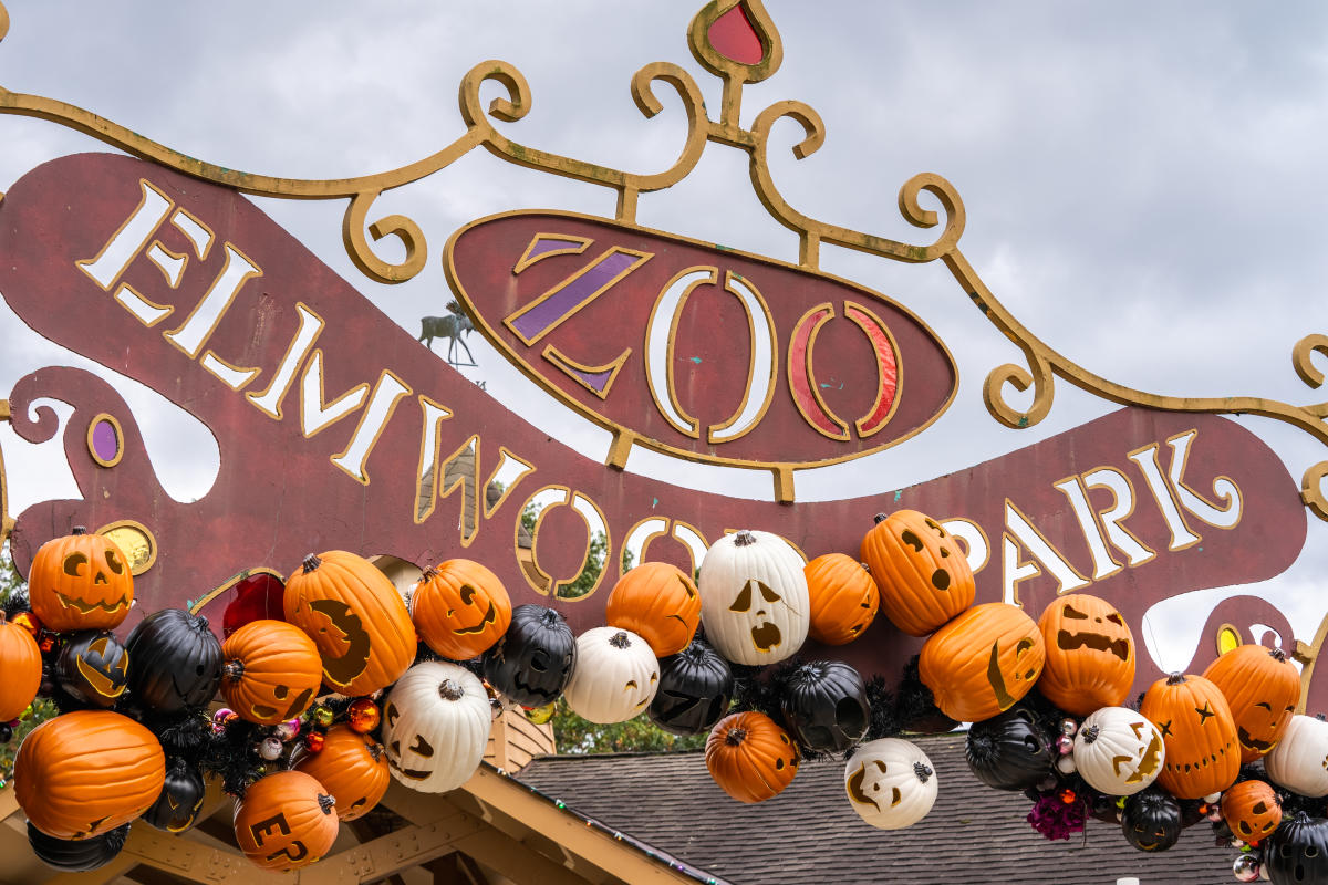10 Things to Check Out at the Elmwood Park Zoo