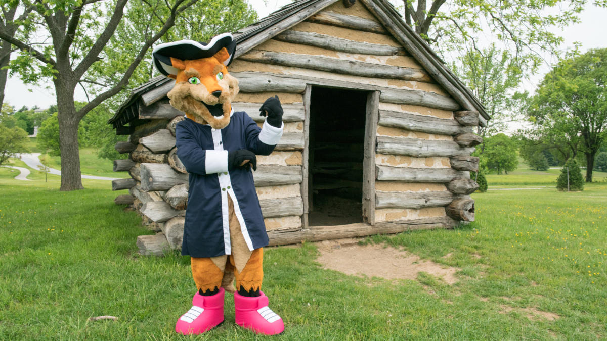 Get To Know Monty The Fox