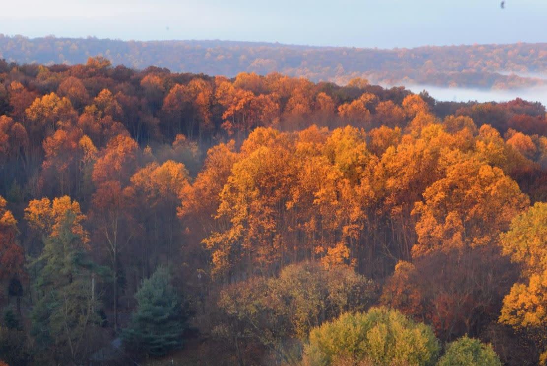 Fall Adventures in Montgomery County, Pa