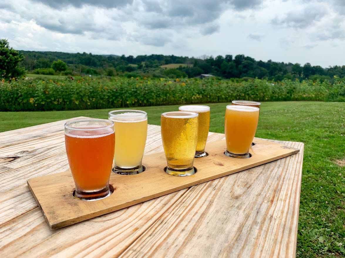 Discover the Growing Craft Brewery Scene of Southwest Virginia
