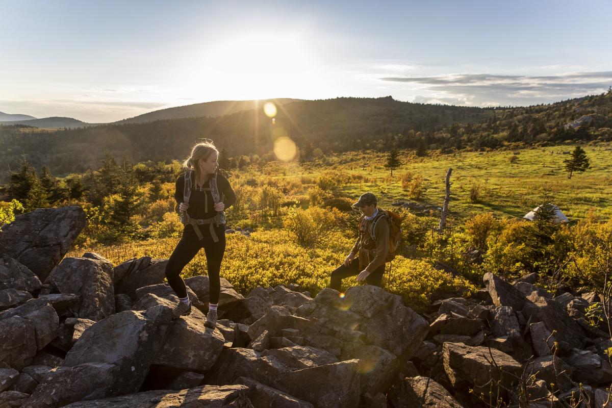 Virginia Hiking for Beginners: Trail Picks, Hiking Tips & More