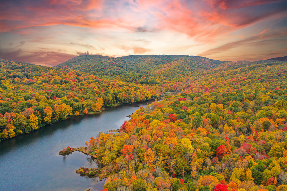 The Best Fall Activities for an Unforgettable Autumn in Virginia