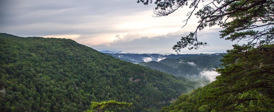 Music Mountains and LOVE in Virginia's Heart of Appalachia - Virginia ...