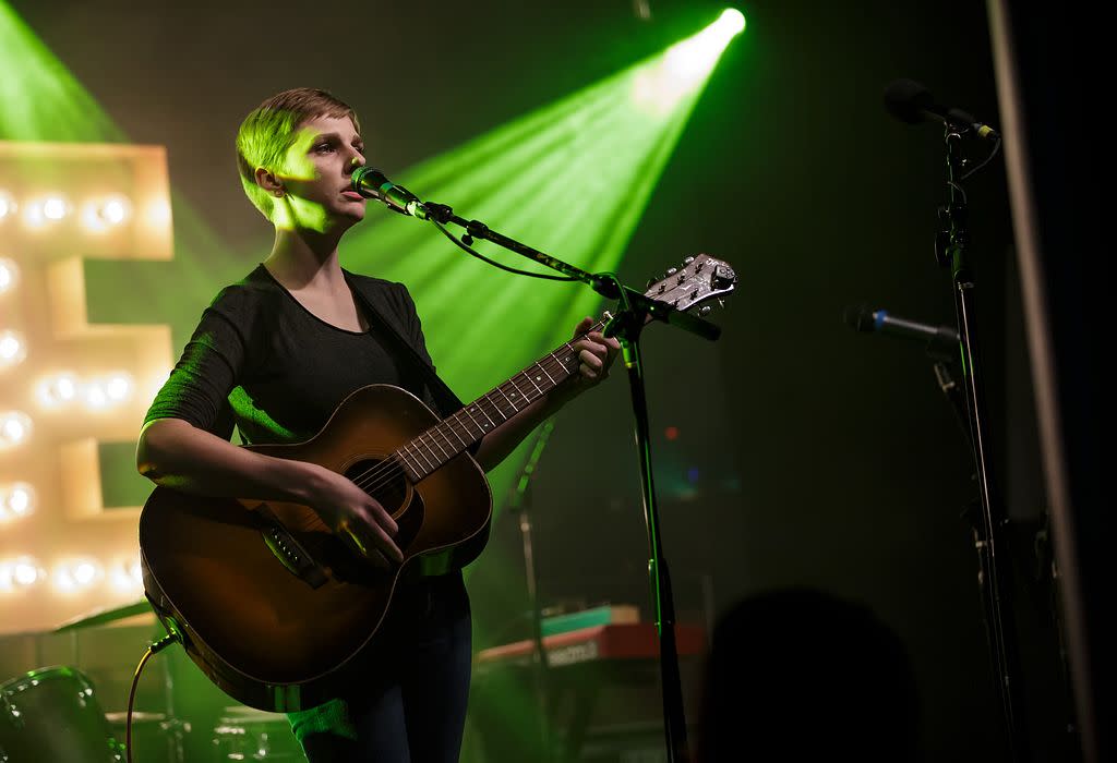 Virginia Musicians - Virginia Is For Lovers