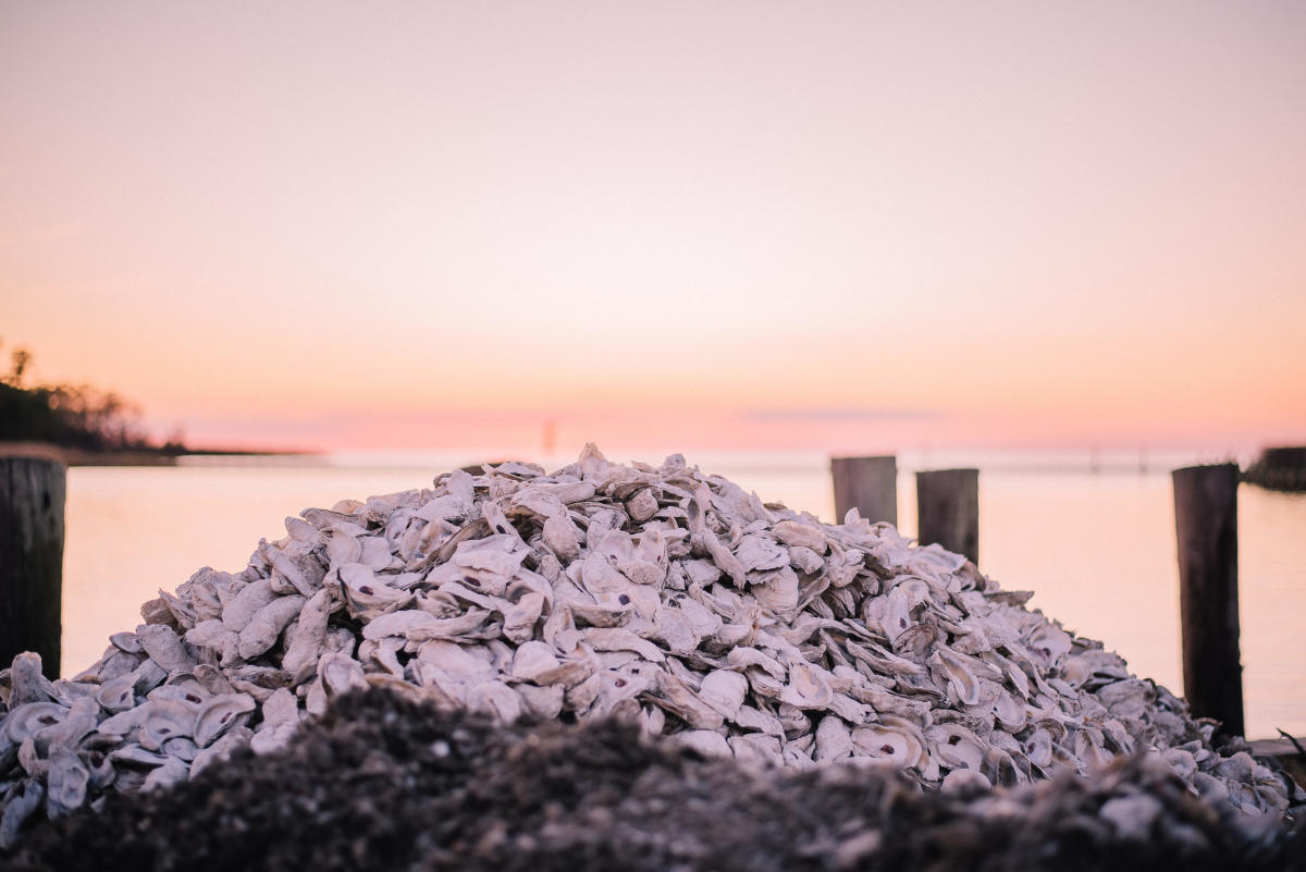 Your Guide to Visiting Virginia in November