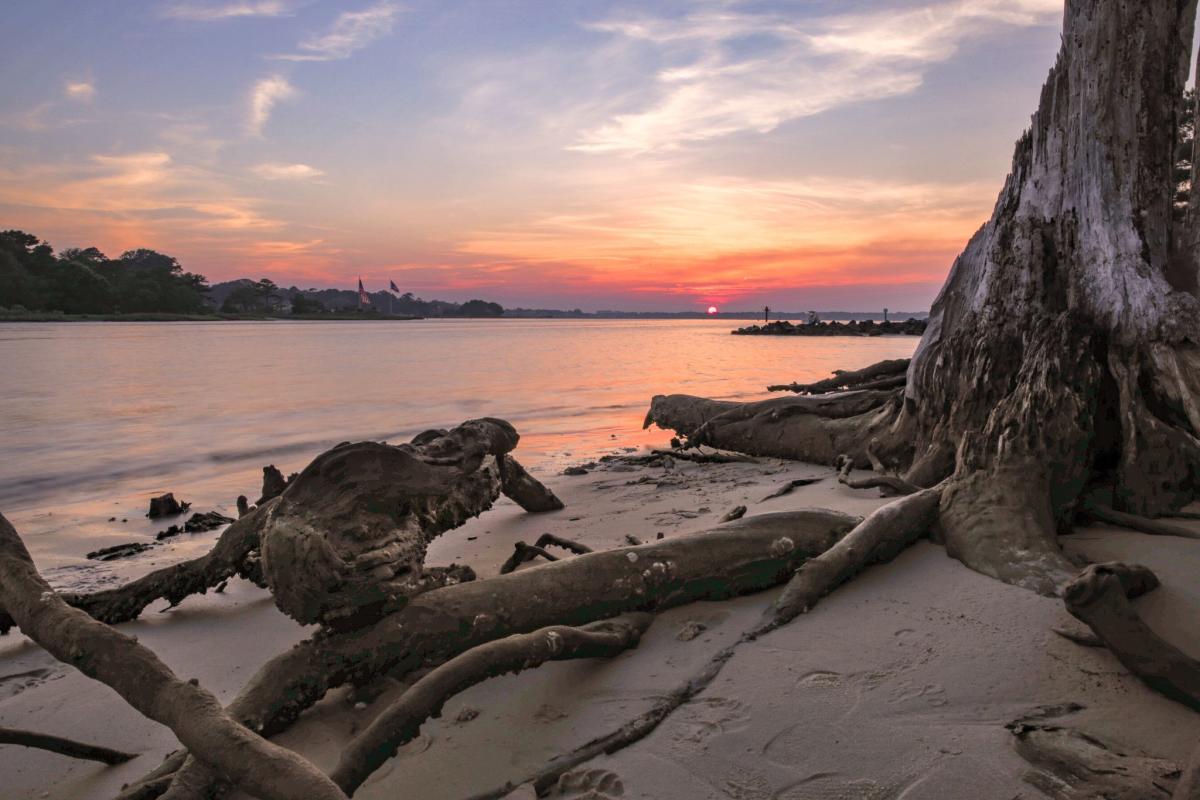 Seven Beach Towns for Scenic Hikes in Virginia