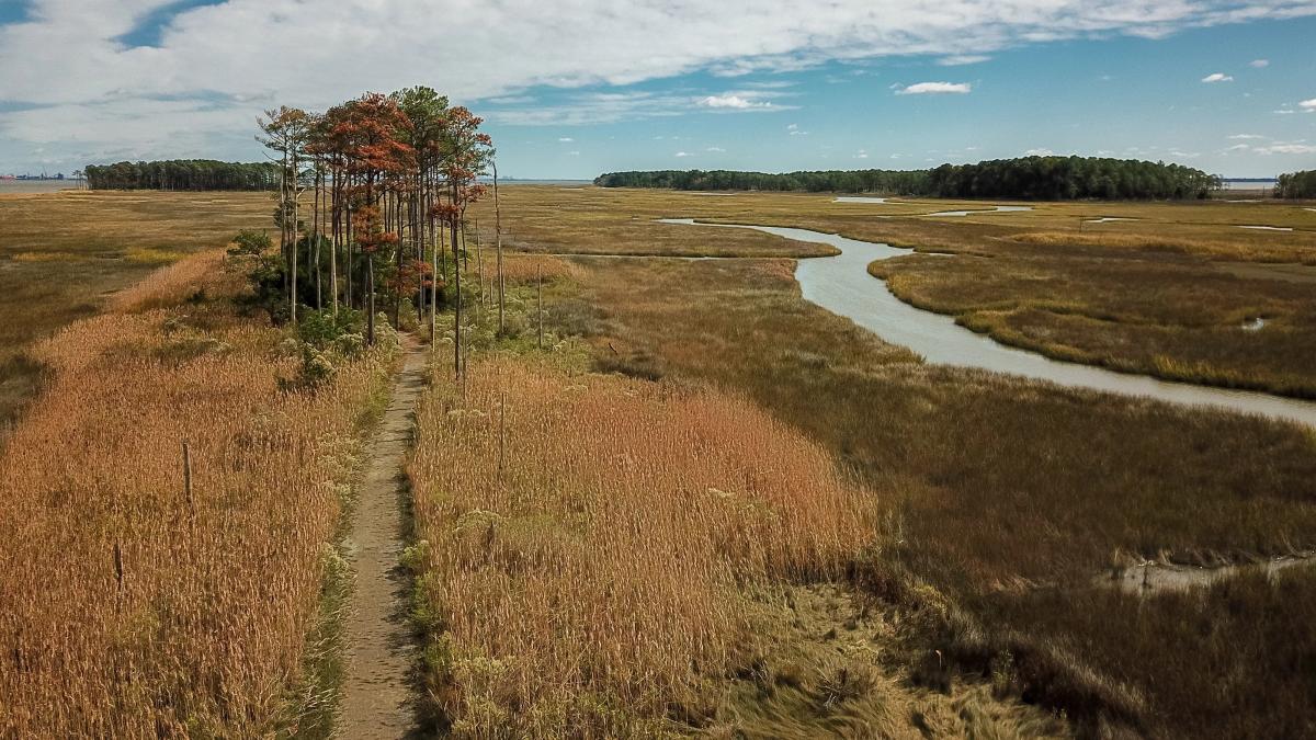 A Guide to Coastal Virginia’s Wildlife Management Areas