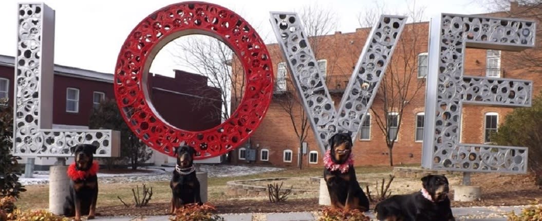 Finding LOVE in Northern and Central Virginia - Virginia Is For Lovers