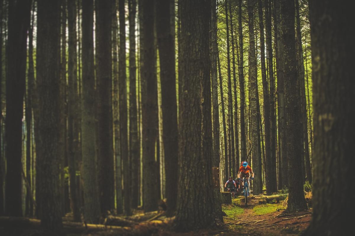 Traveling with the Guys: The Best Mancations in Virginia