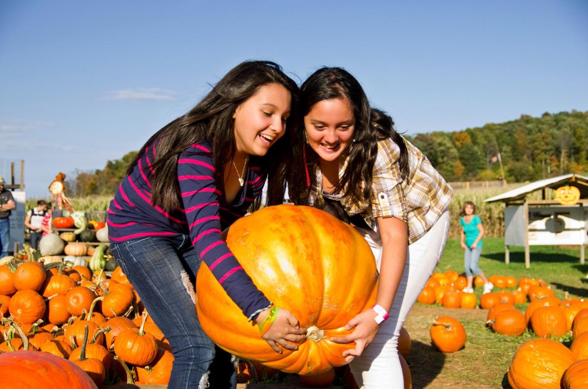 Corn Mazes and Pumpkin Patches - Virginia Is For Lovers