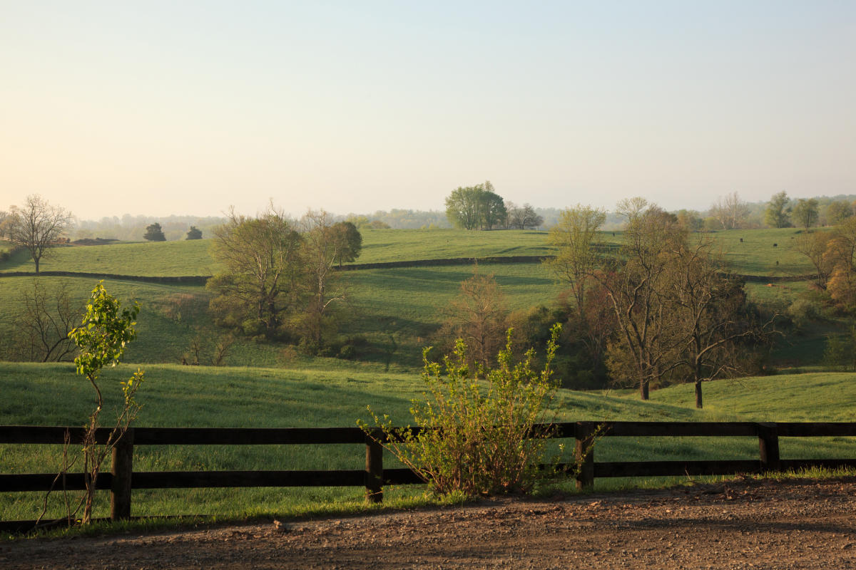 The Complete Guide to Visiting Middleburg, Virginia