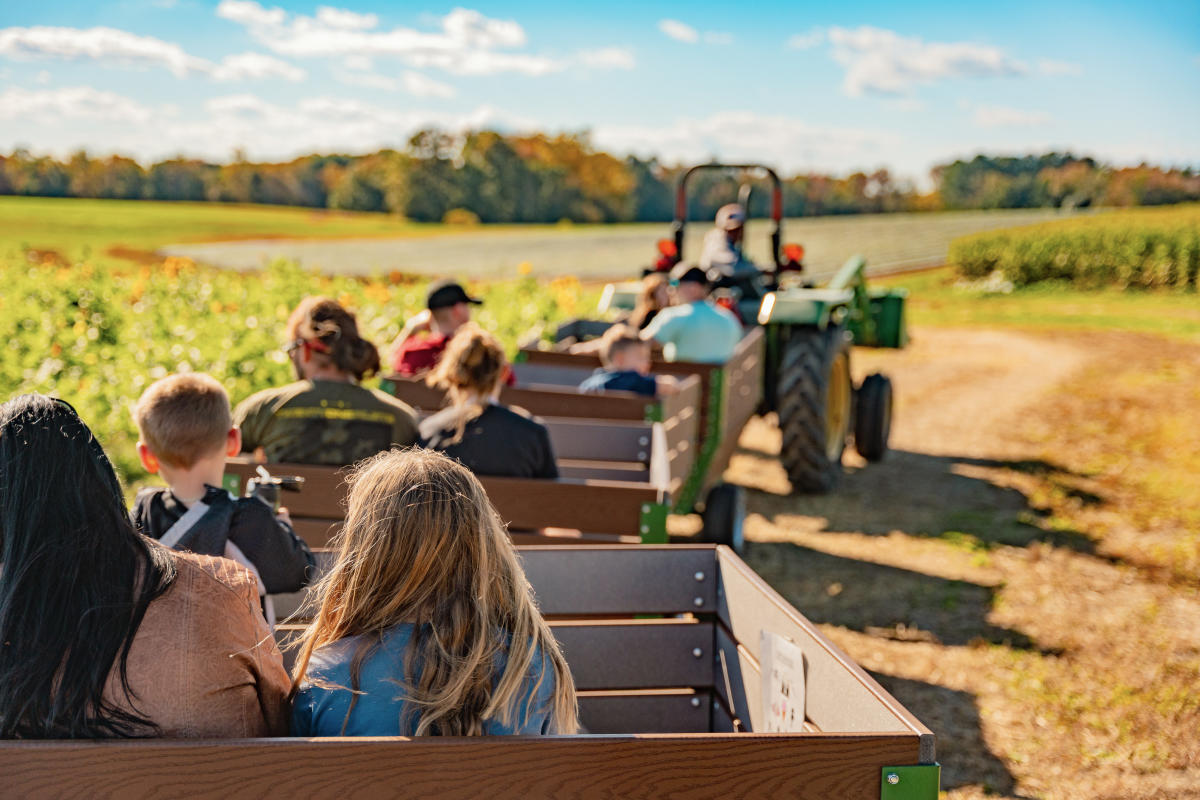 Fall Fun with the Kids under $15