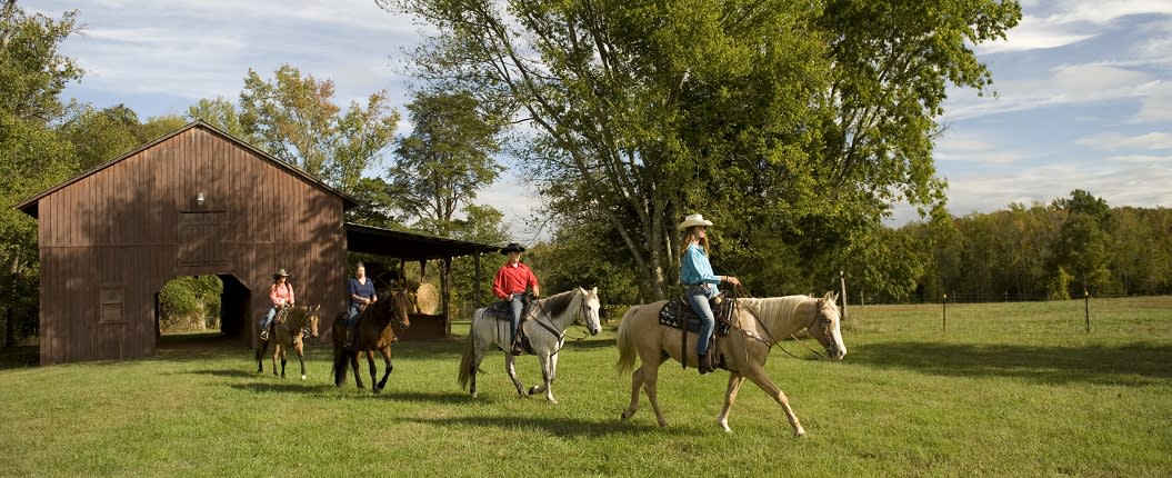 Southern Virginia Farm Getaway - Virginia Is For Lovers