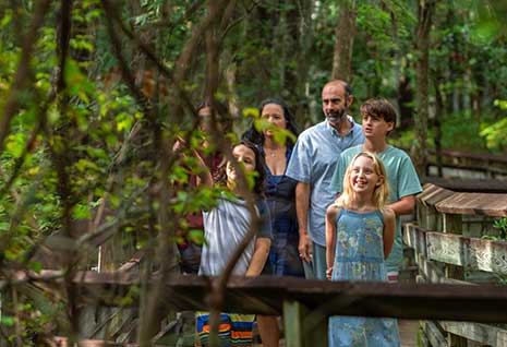 Virginia Green Attractions - Virginia Is For Lovers