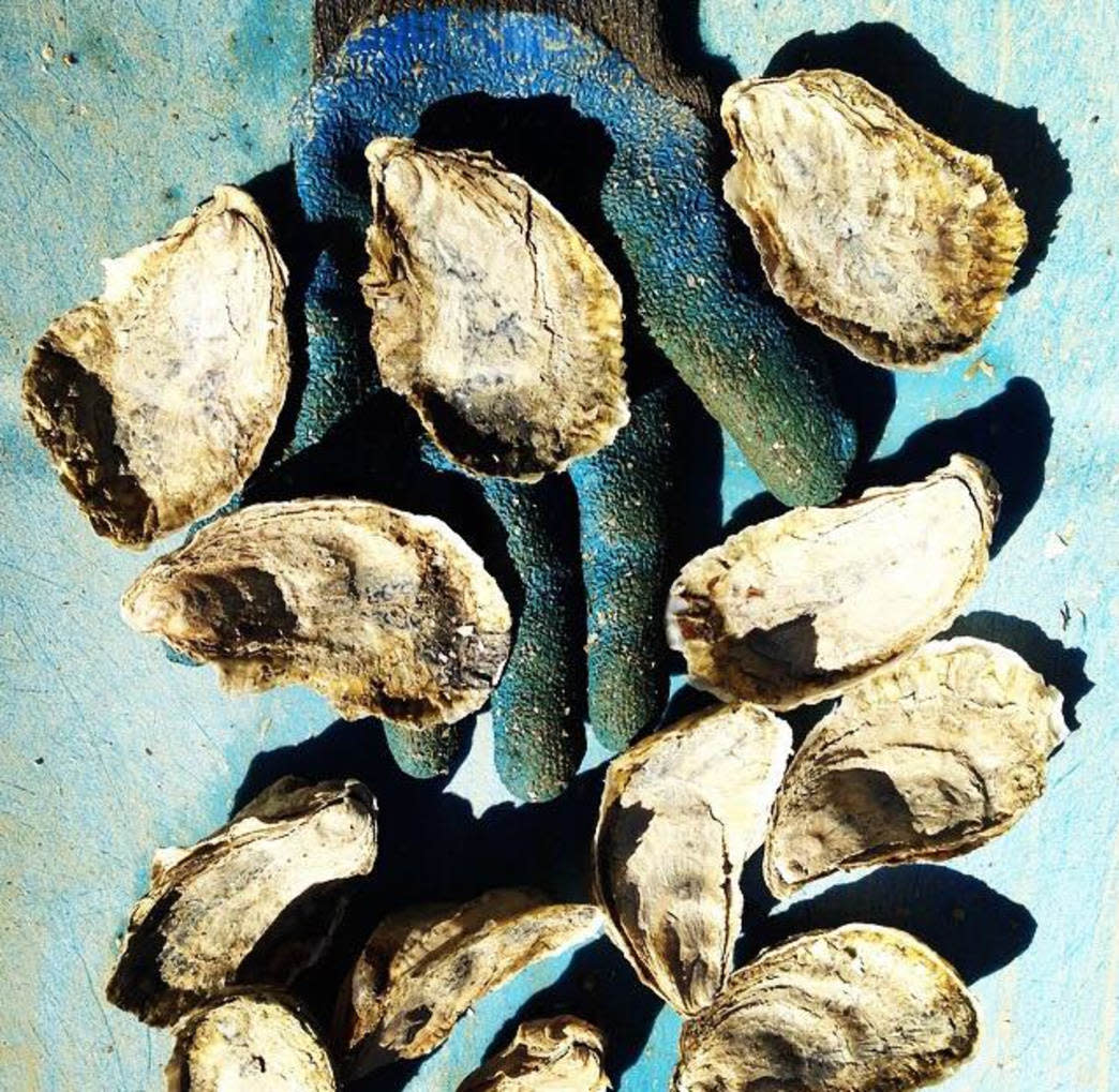 The Ultimate Oyster Trip to Virginia's Eastern Shore