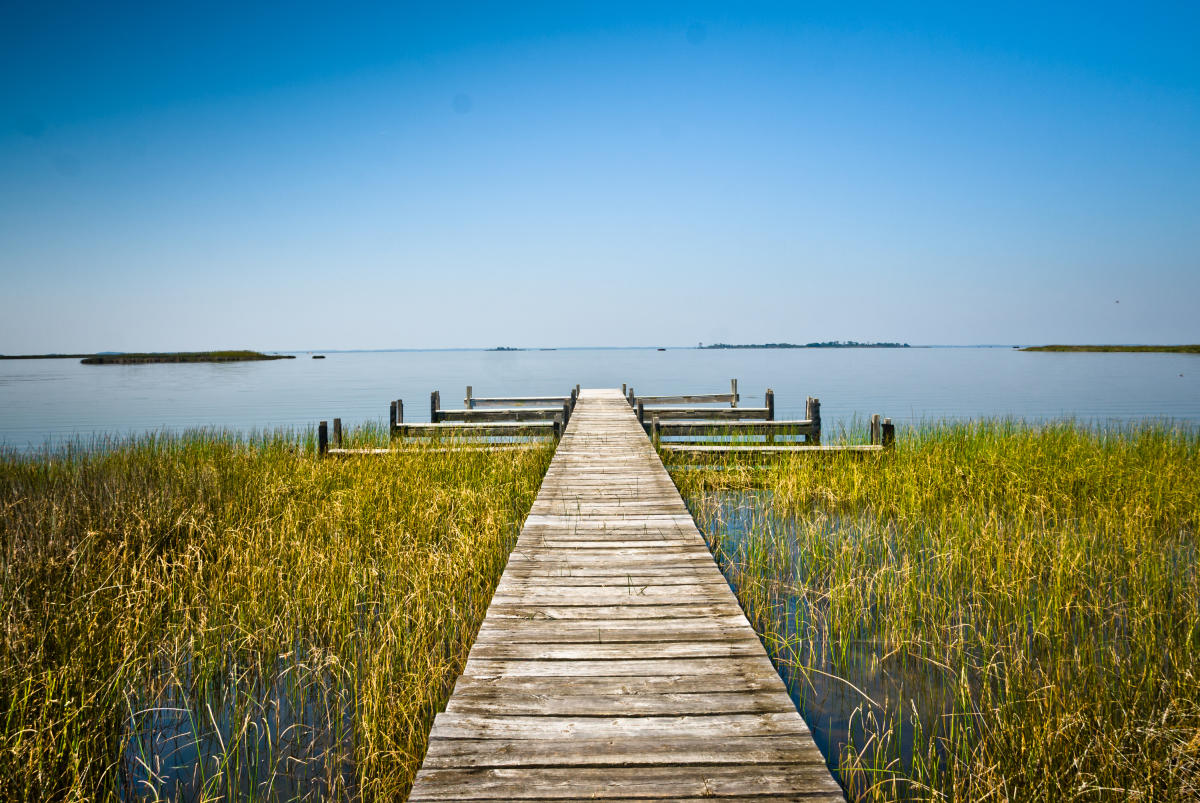 False Cape State Park | Explore Virginia Beach State Parks
