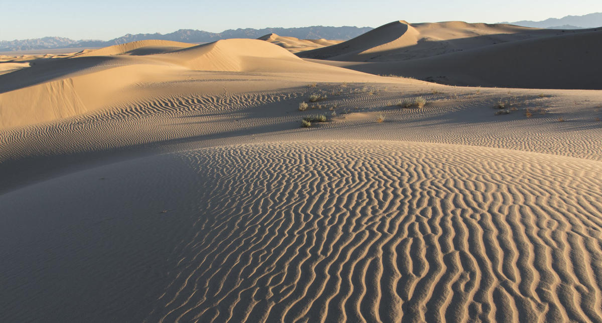 Cadiz Dunes Wilderness