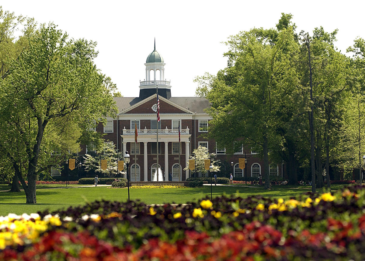 Guide to Exploring Elon