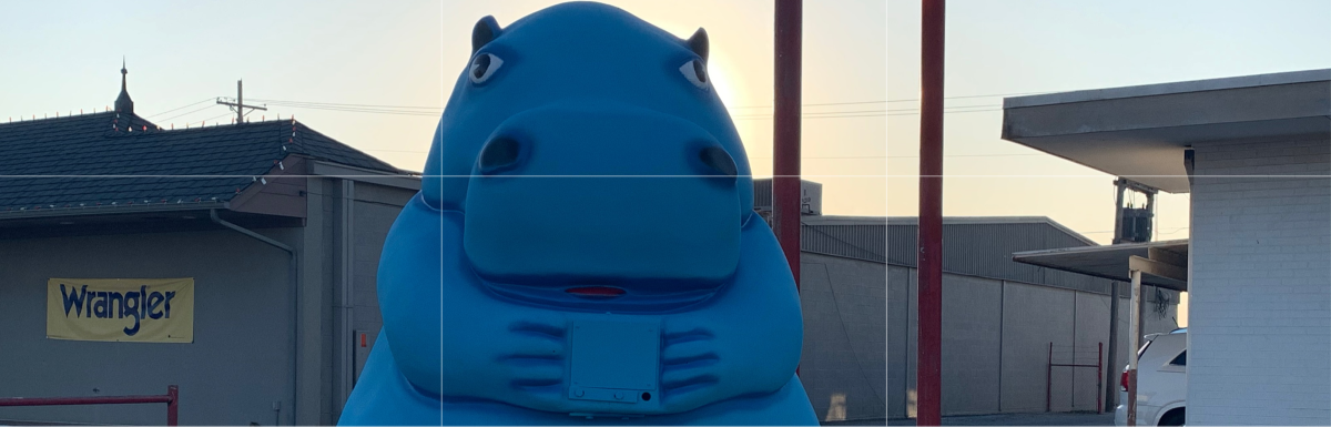 Happy, The Blue Hippo