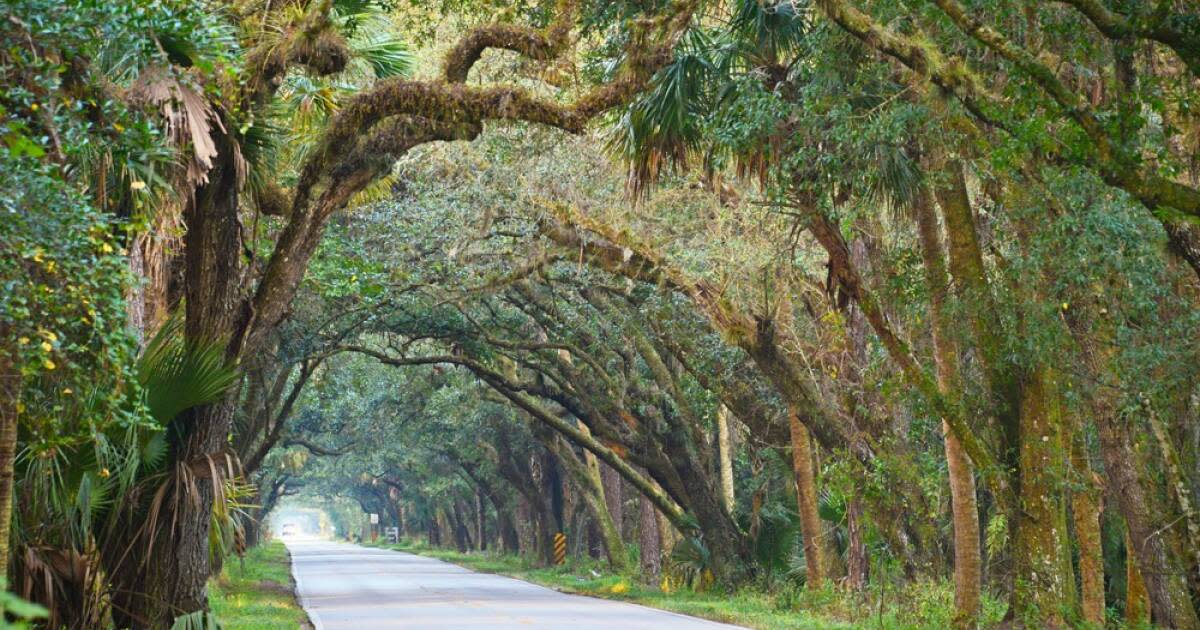 Florida Scenic Highway: The Martin Grade, Sunrise to Sunset