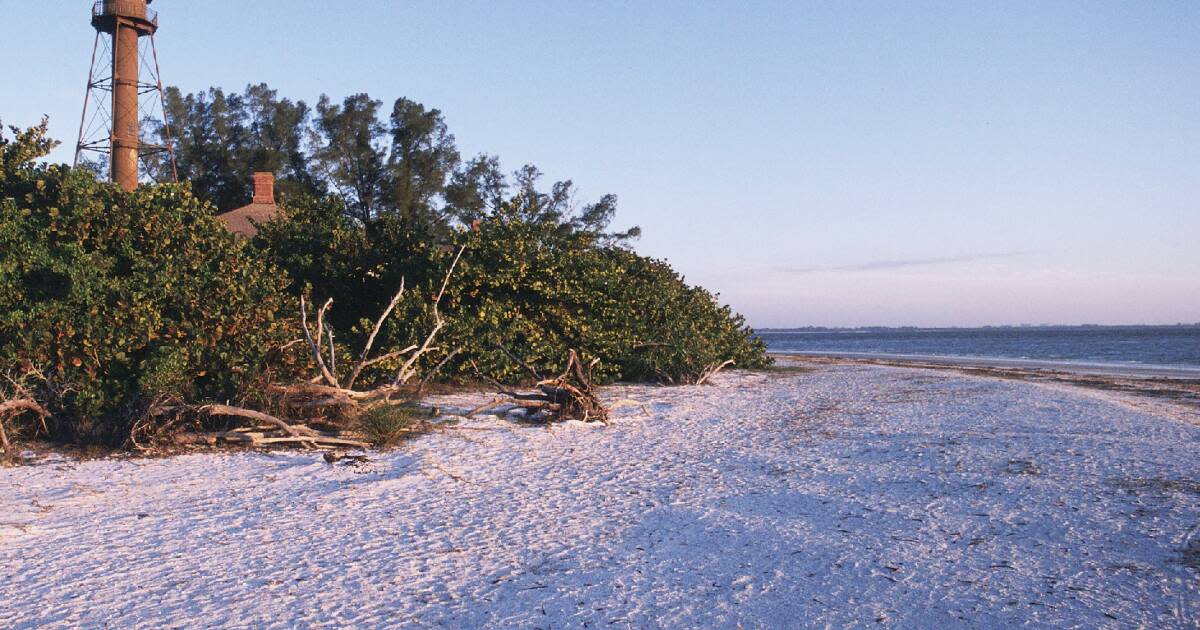 5 Naturally Fab Ways to Do Florida Beaches