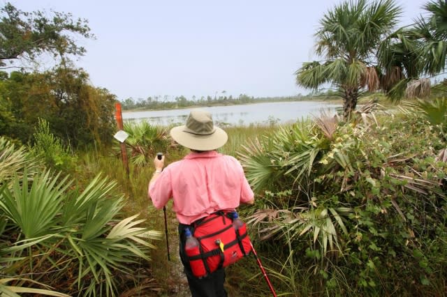 Treasure Coast Naturliche Schonheit