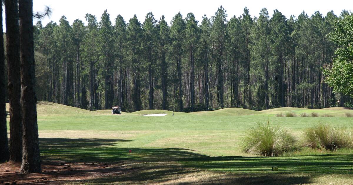 Shot-Makers Will Love Cimarrone Golf Club