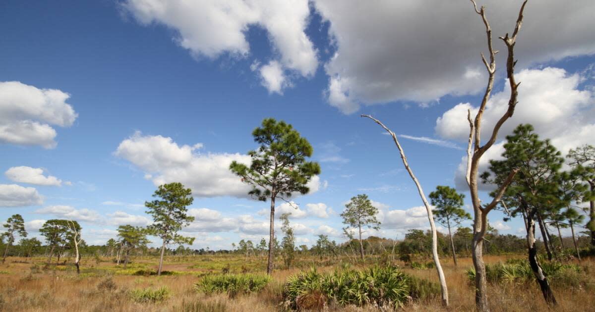 5 Great Hikes in Florida's Hernando County | VISIT FLORIDA