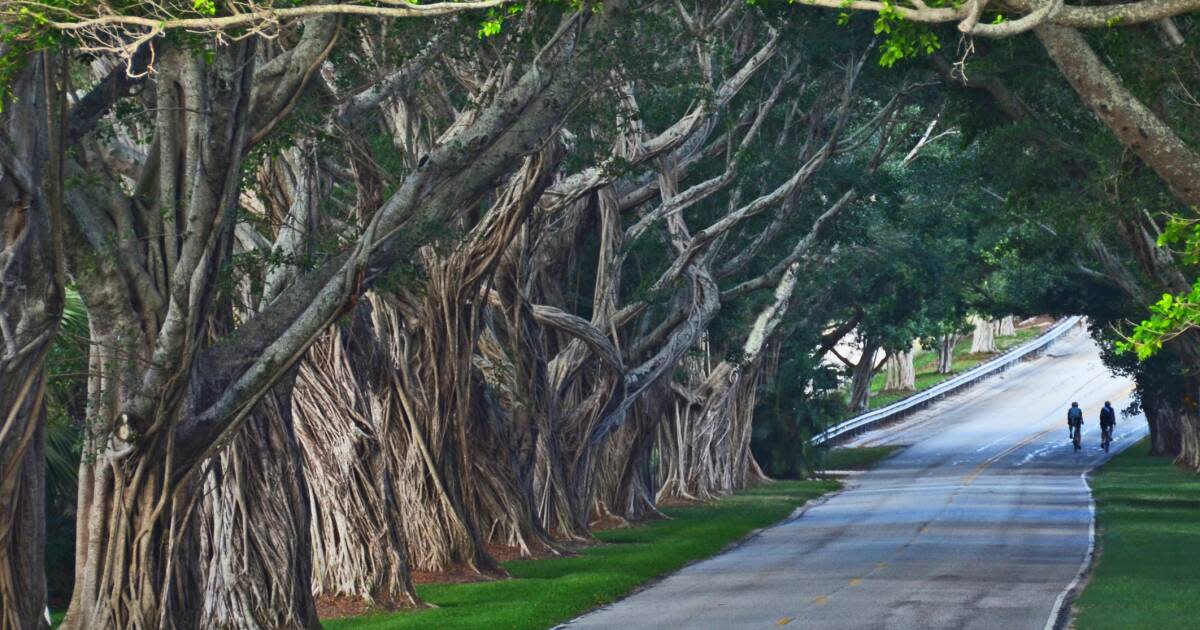 The Florida Playlist - Road Trip Edition | VISIT FLORIDA