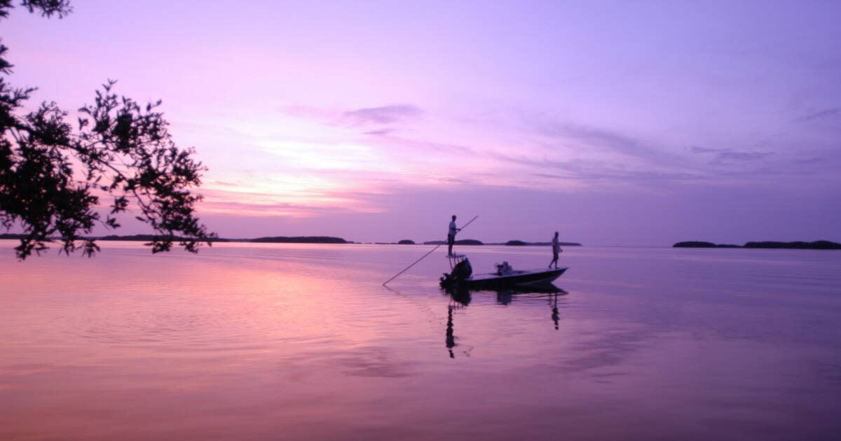 Fall Fishing Prospects in Key West | VISIT FLORIDA