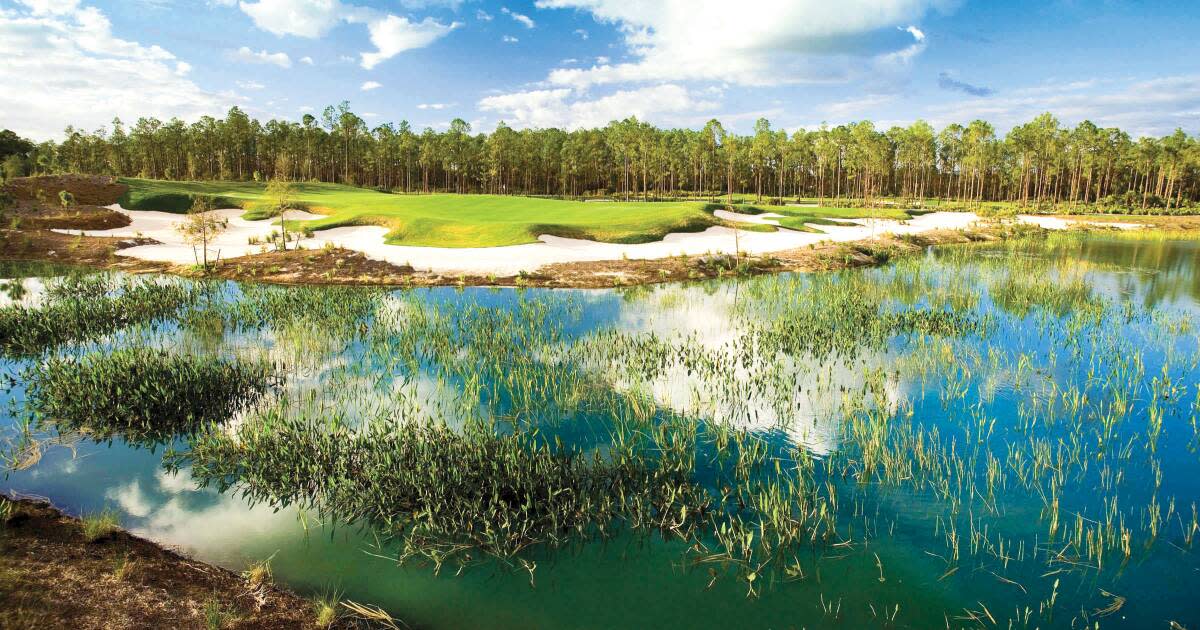 Wild Golf Adventures