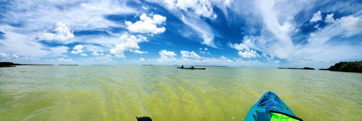 An Itinerary for Exploring Florida’s Everglades