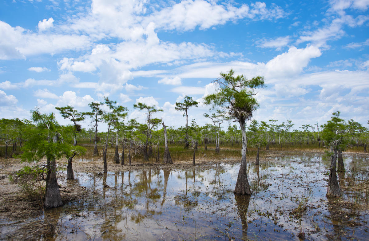 Chokoloskee Florida - Things to Do & Attractions