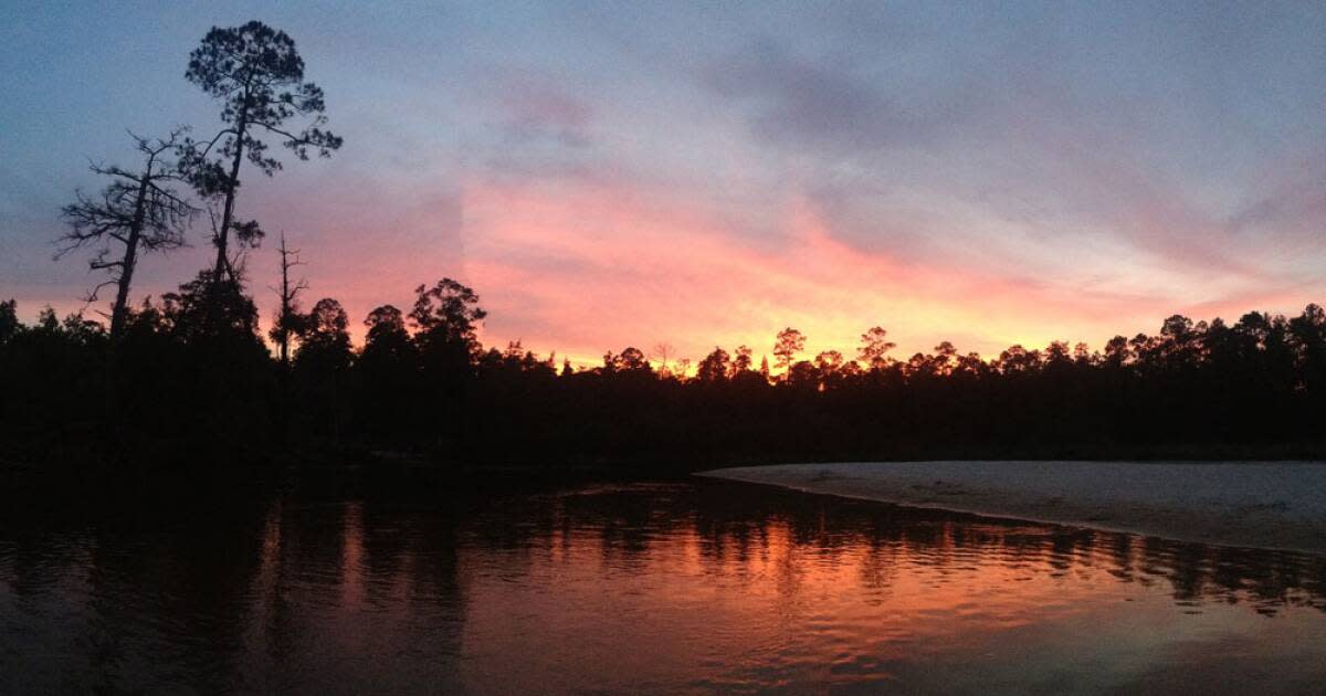 Blackwater River Guide To The Black River Safari, Jamaica | Beaches