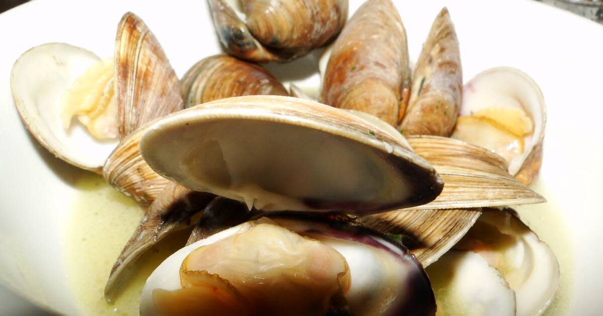 To Know Florida Clams, You Need to Understand Cedar Key Clams