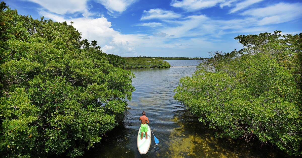 Adventure Activities in the Florida Keys | VISIT FLORIDA