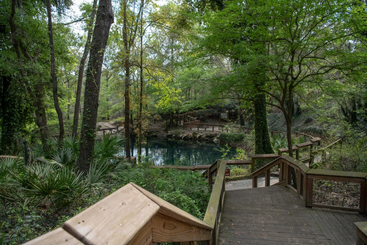 Madison Florida - Things to Do & Attractions in Madison FL