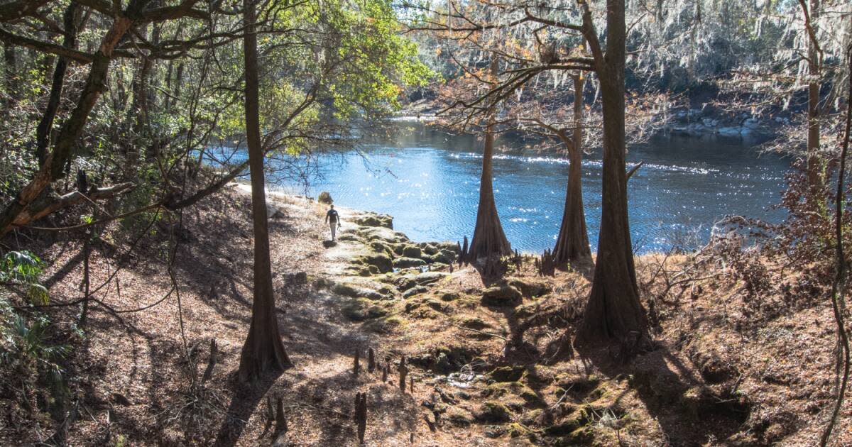 Suwannee County: A River Runs Through It