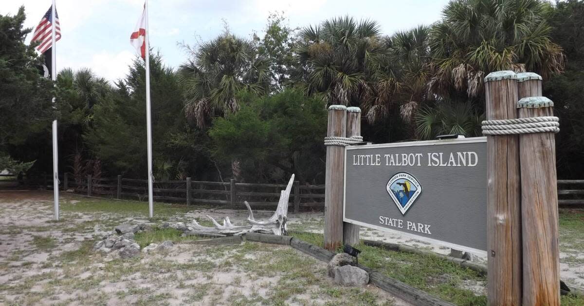 Little Talbot Island State Park Florida State Parks Near Amelia Island